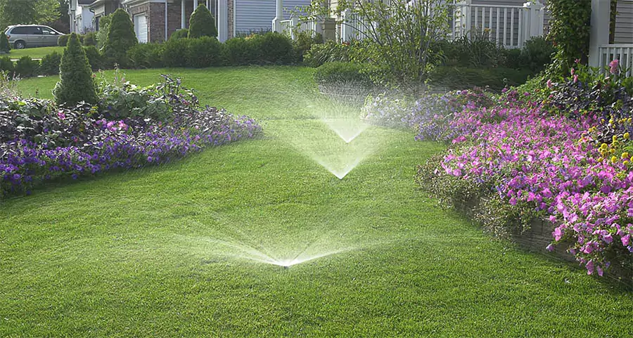 How Can A Spring Sprinkler Startup Improve Your Lawn?